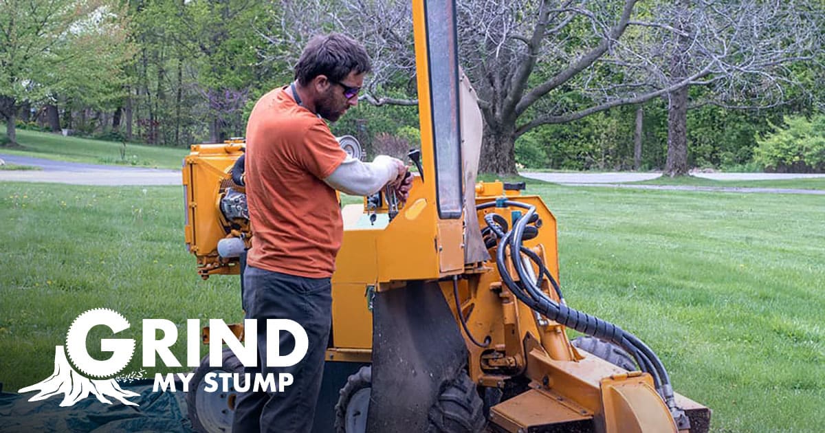 About - Tree Stump Grinding
